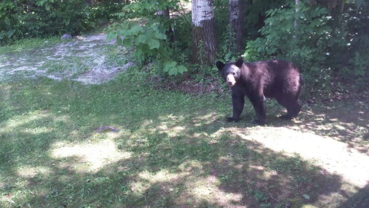 Photo Gallery | North Star Inn & Resort