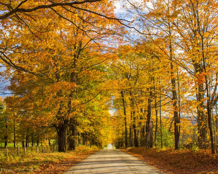 Photo Gallery | North Star Inn & Resort