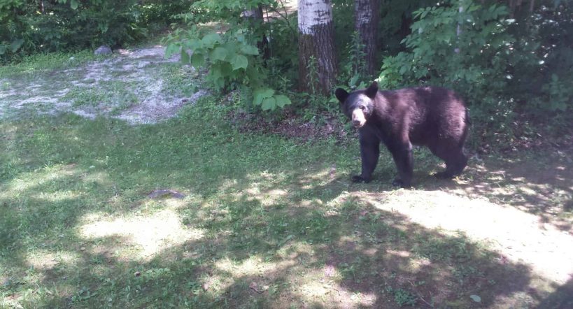 Photo Gallery | North Star Inn & Resort