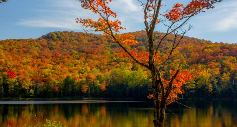 Photo Gallery | North Star Inn & Resort