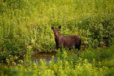 Photo Gallery | North Star Inn & Resort